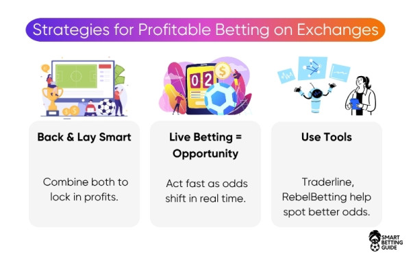 What Are Betting Exchanges? How Betting Exchanges Work?