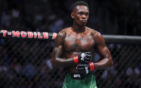 MMA Fighting Styles: Key Techniques and Adaptations 🥇